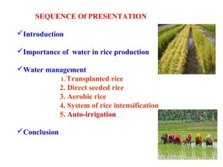 Agronomy: Precision water management in different rice ecosystems | PPT