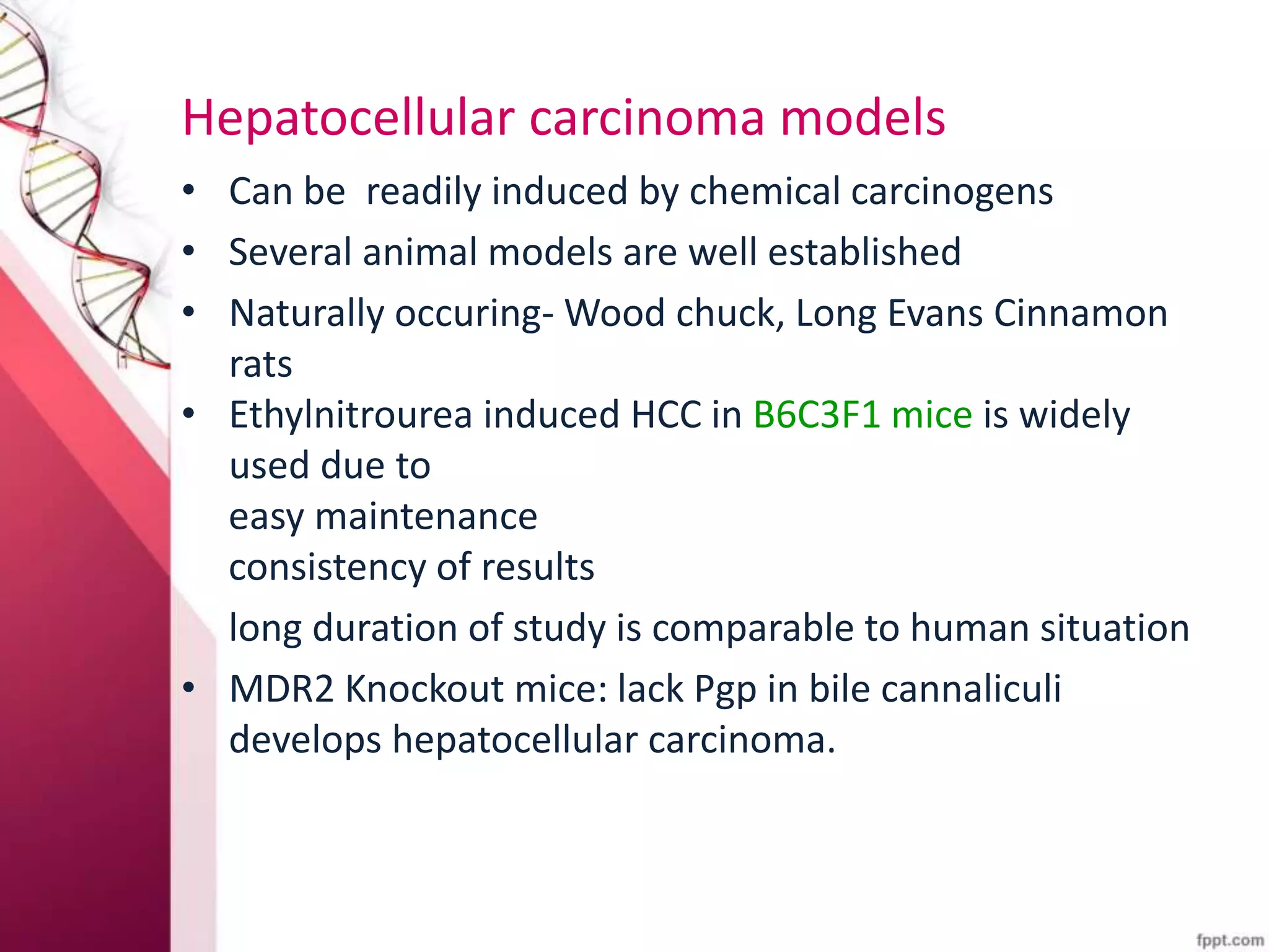 Preclinical and clinical screening of anticancer drugs | PPTX