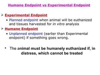 Preclinical drug discovery and development | PPT