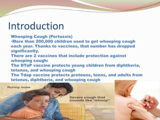 Pre clinical evaluation of pertussis vaccine (1) | PPTX