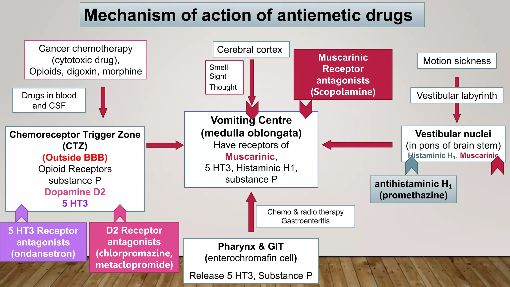 preclinical screening method of antiemetic drugs.pptx