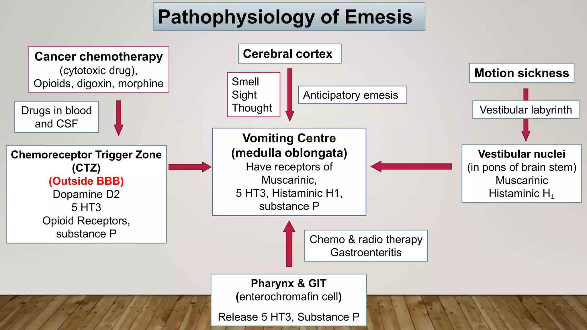 preclinical screening method of antiemetic drugs.pptx