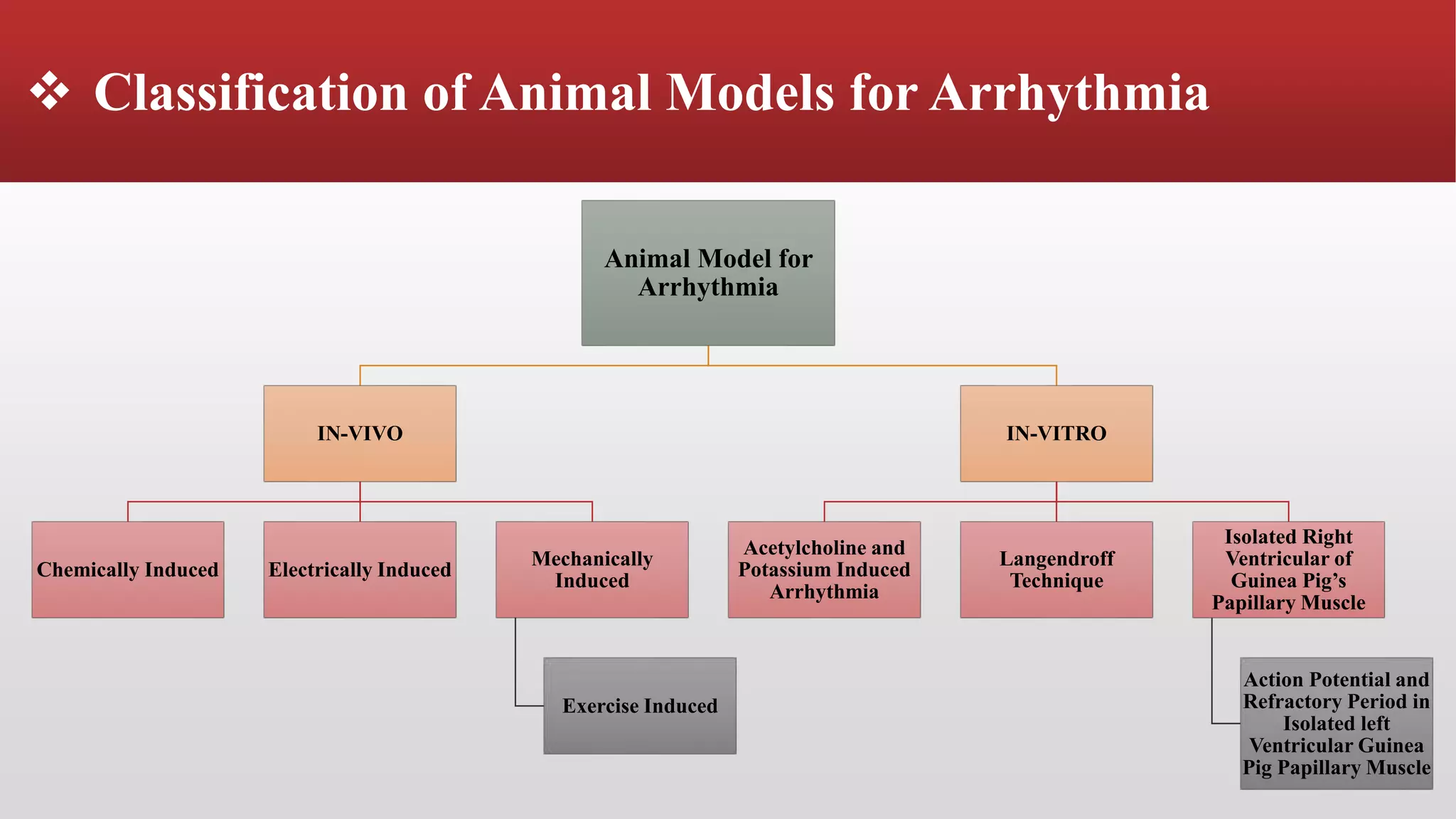 Preclinical Screening of Antiarrhythmatic Agents- Mpharm-edited.pptx