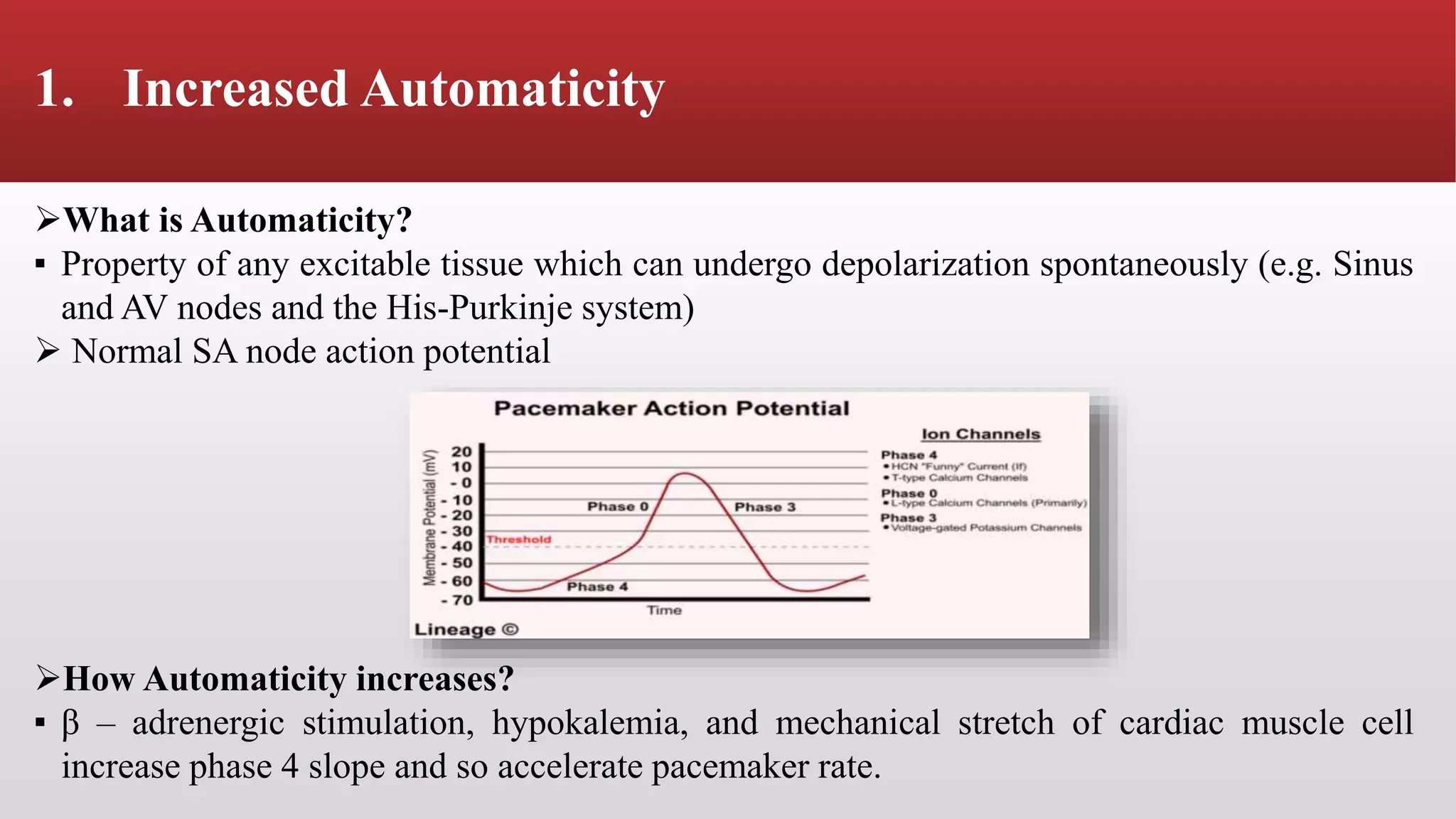 Preclinical Screening of Antiarrhythmatic Agents- Mpharm-edited.pptx