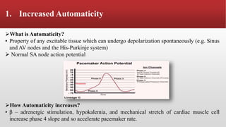 Preclinical Screening of Antiarrhythmatic Agents- Mpharm-edited.pptx