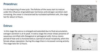 Preclinical screening of anti fertility agents | PPTX