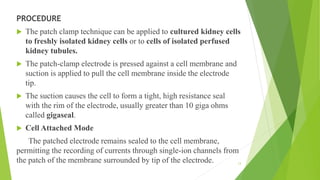 Preclinical screening of diuretics.pptx