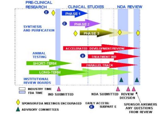 Preclinical studies | PPTX | Endocrine and Metabolic Diseases ...