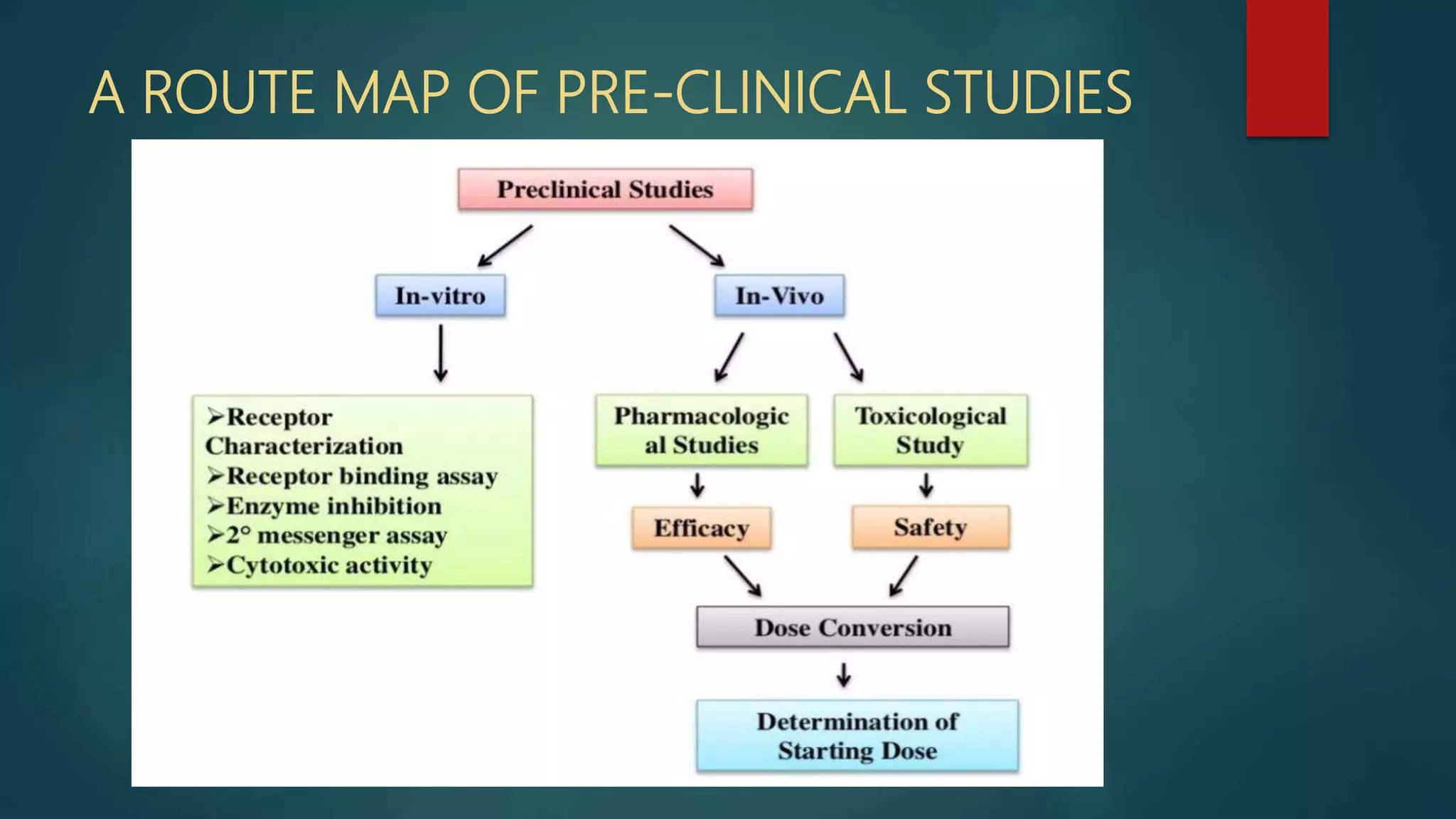 Preclinical studies | PPTX