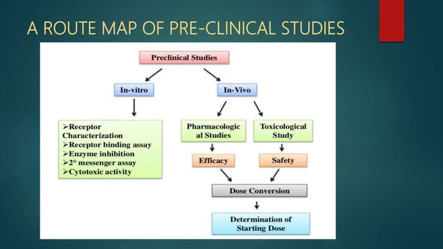 Preclinical studies | PPTX