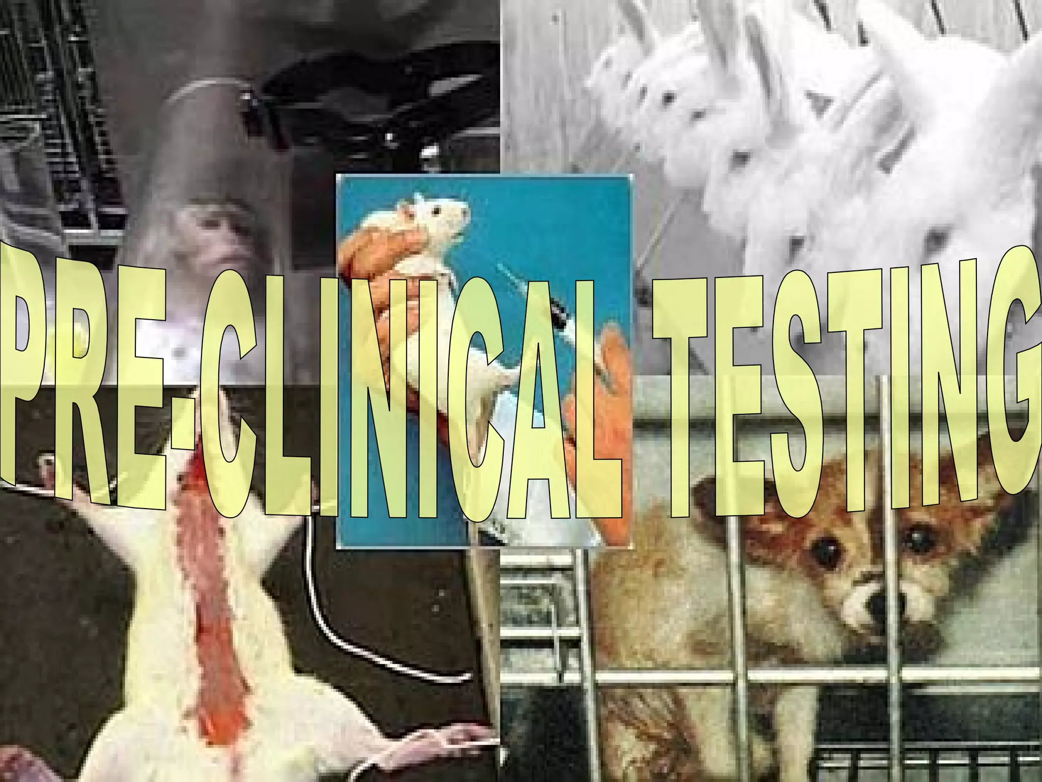 Preclinical testing - An intro | PPT