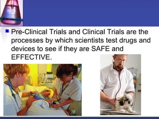 Preclinical trials | PPT