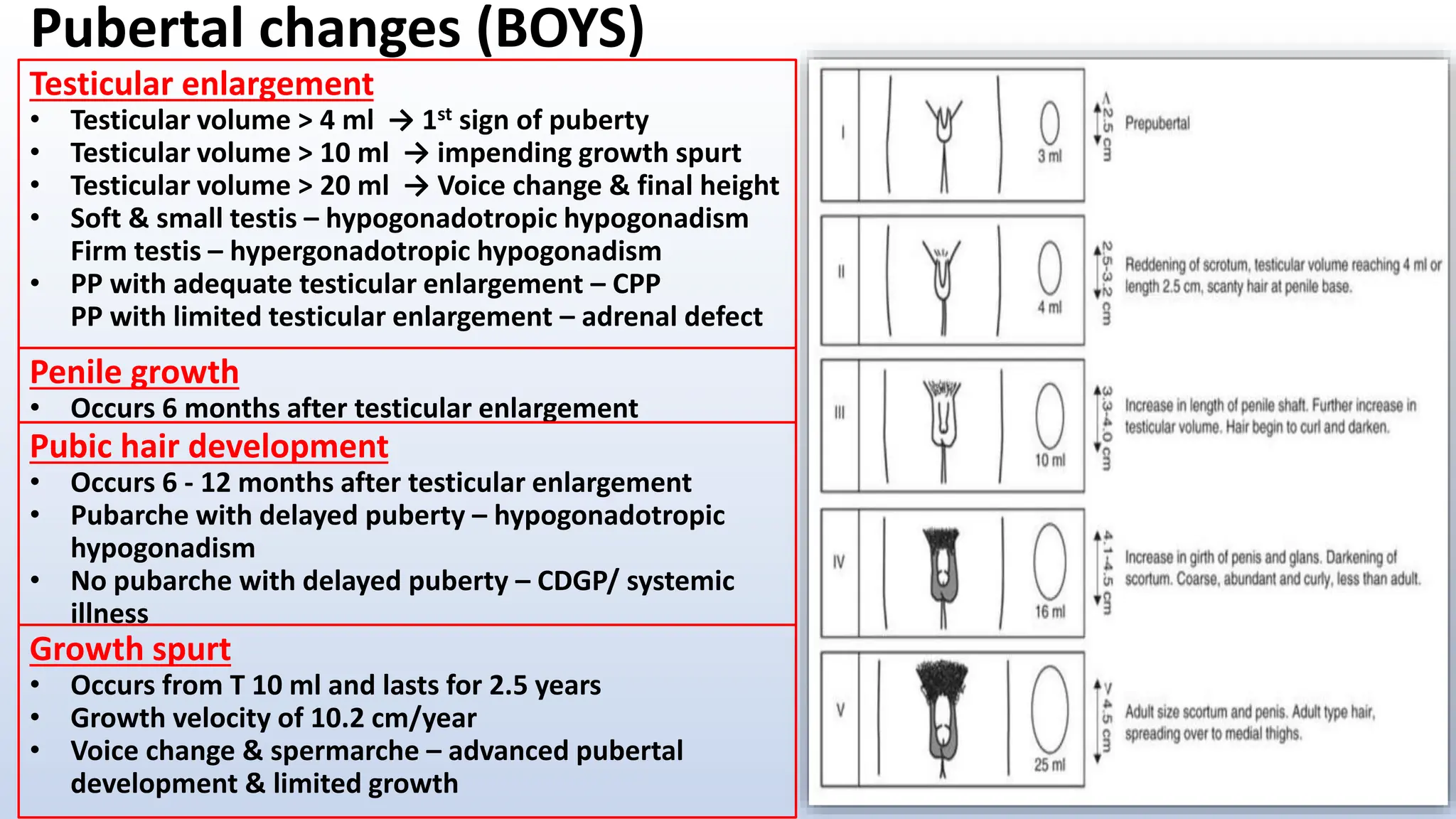 precocious puberty in children ppts.pptx