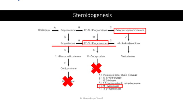 Central and Peripheral Precocious Puberty | PPTX