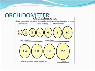 Precocious puberty ppt | PPT