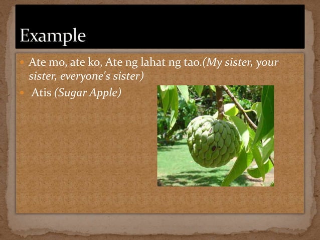 Pre Colonial Literature Philippines | PPTX | Poetry | Books and Literature