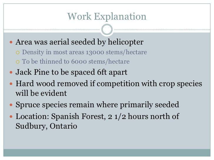 Pre Commercial Thinning Work Examples