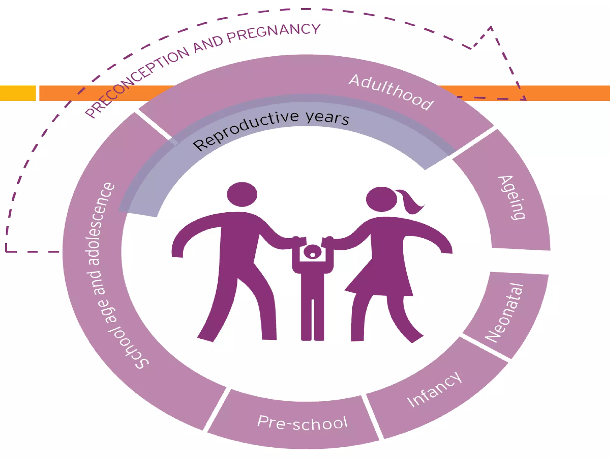 Preconception care 2020 | PPSX