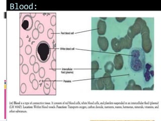 Tissues and types B.S zoology. | PPTX