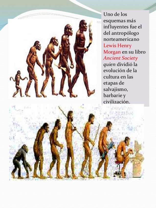 Evolucionismo De Darwin Evolucionismo De Darwin