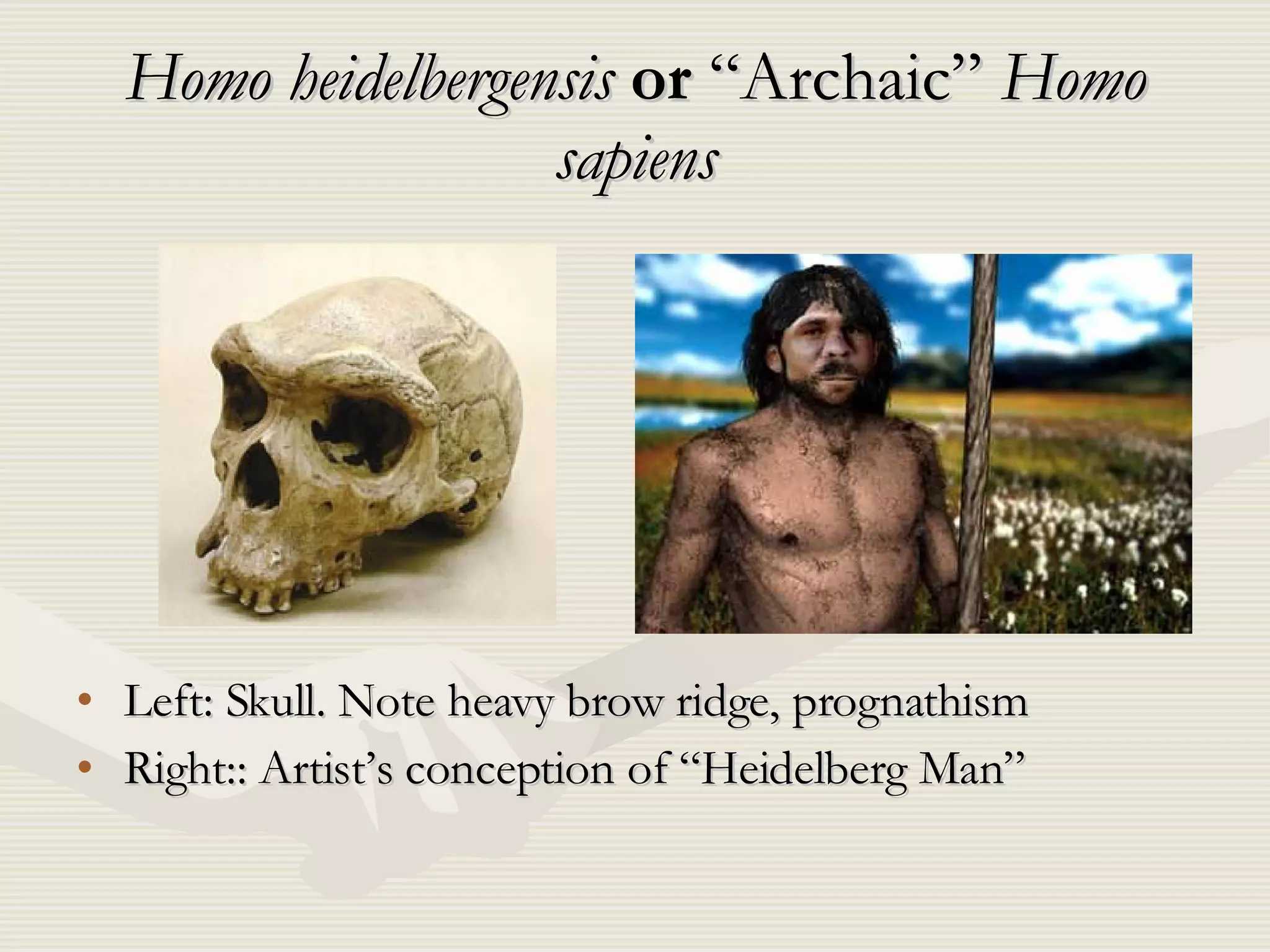 Precursors of Civilization--Lower to Upper Paleolithic | PPT