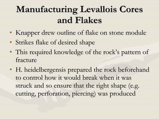 Precursors of Civilization--Lower to Upper Paleolithic | PPT