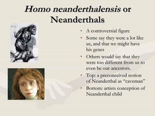 Precursors of Civilization--Lower to Upper Paleolithic | PPT