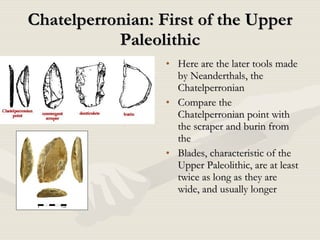 Precursors of Civilization--Lower to Upper Paleolithic | PPT