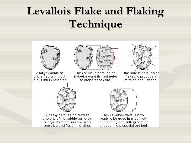 Precursors of Civilization--Lower to Upper Paleolithic
