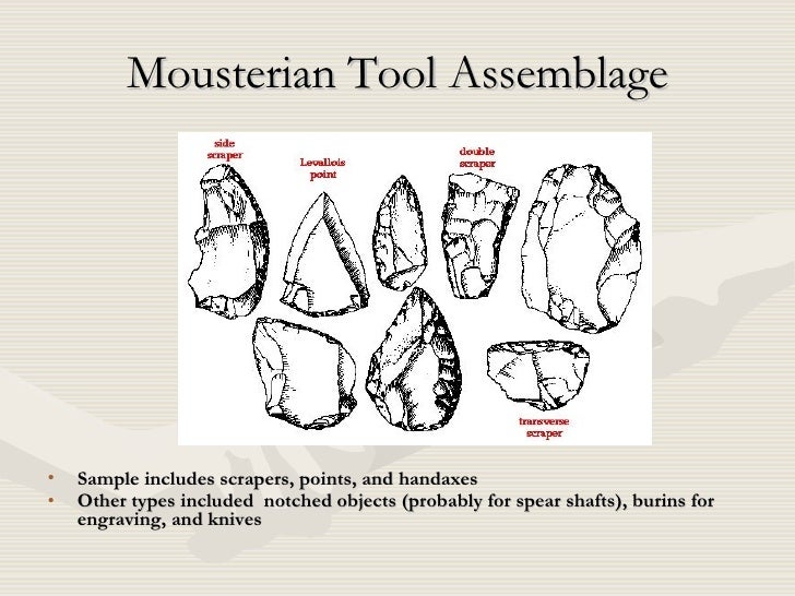 Precursors of Civilization--Lower to Upper Paleolithic