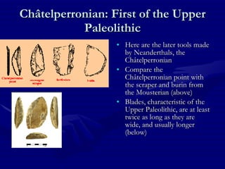 Lower to Upper Paleolithic | PPT