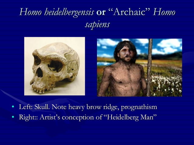 Lower to Upper Paleolithic | PPT