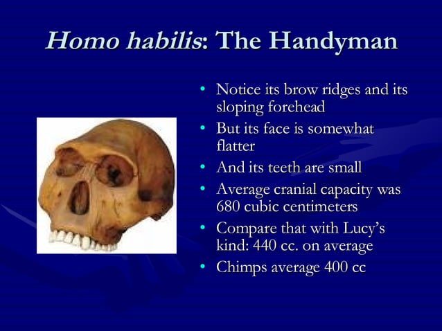 Lower to Upper Paleolithic | PPT