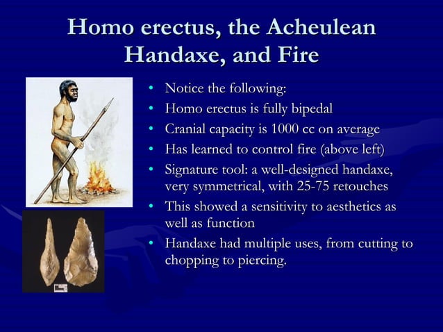 Lower to Upper Paleolithic | PPT