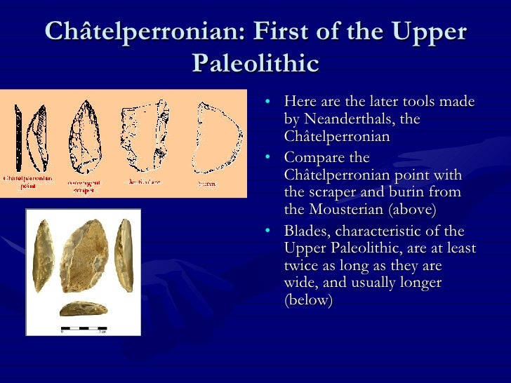 Lower To Upper Paleolithic