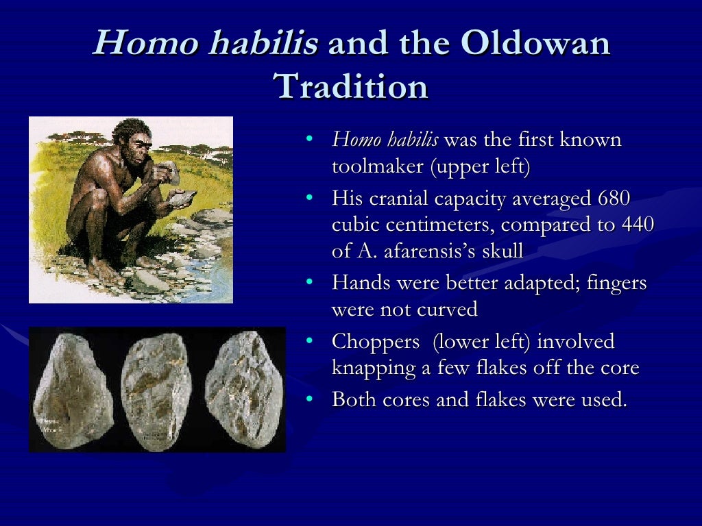 Lower to Upper Paleolithic