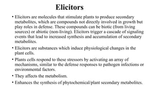 Precursors and elicitors on production of secondary metabolites.pptx