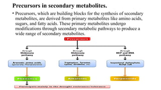 Precursors and elicitors on production of secondary metabolites.pptx