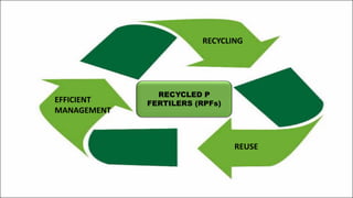 P recycling in organic farming | PPT