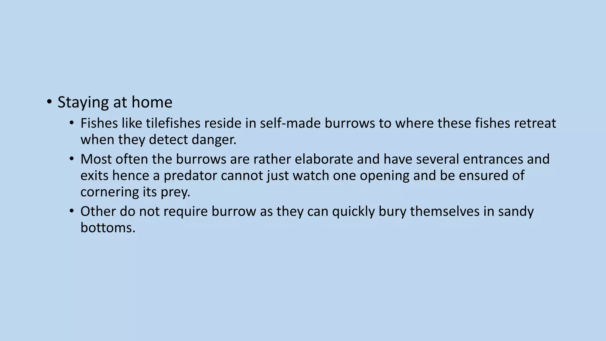 fish predation | PPTX