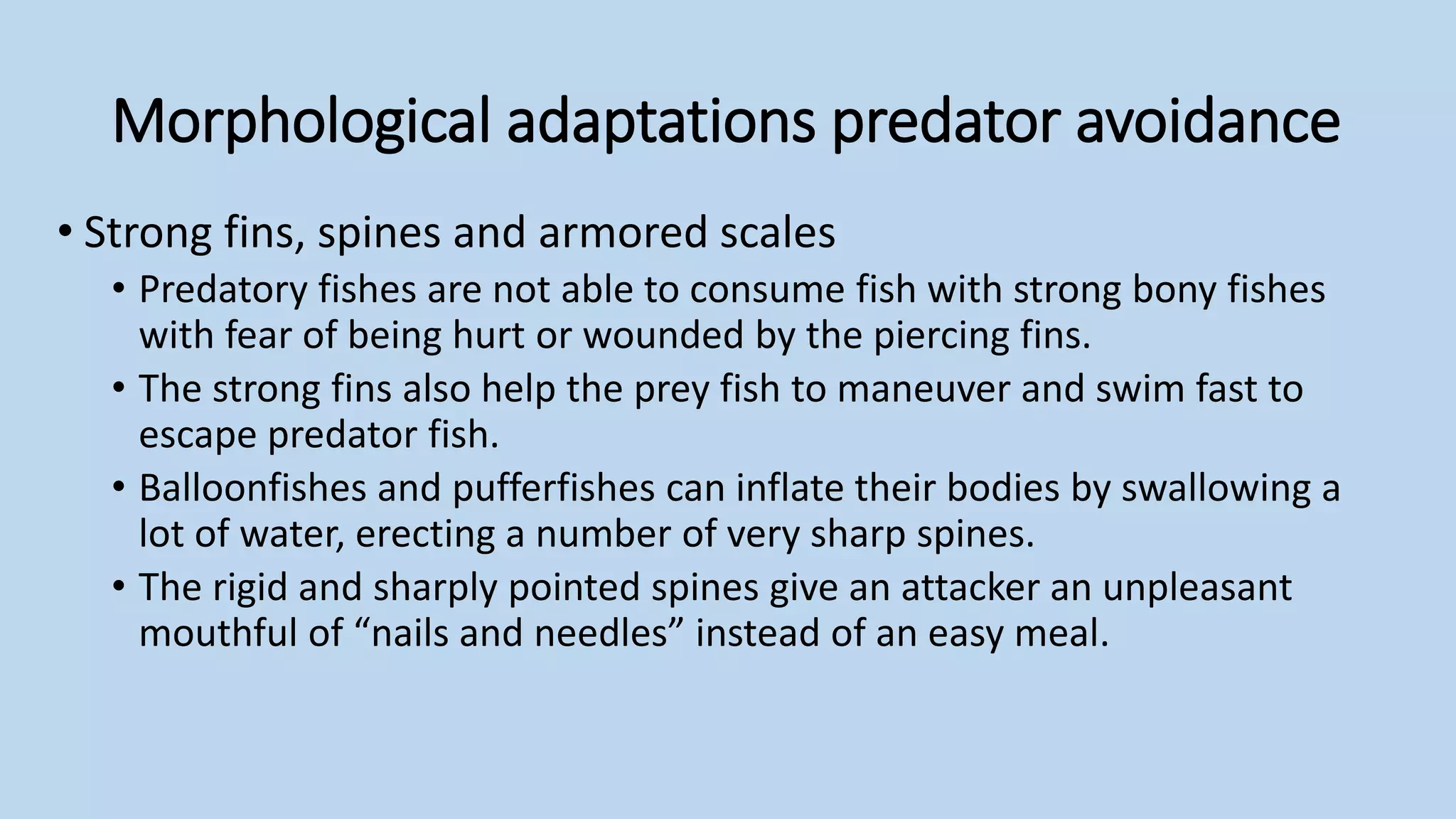 fish predation | PPT