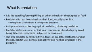 fish predation | PPTX