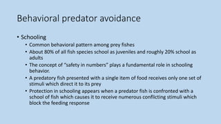 fish predation | PPTX