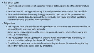 fish predation | PPTX