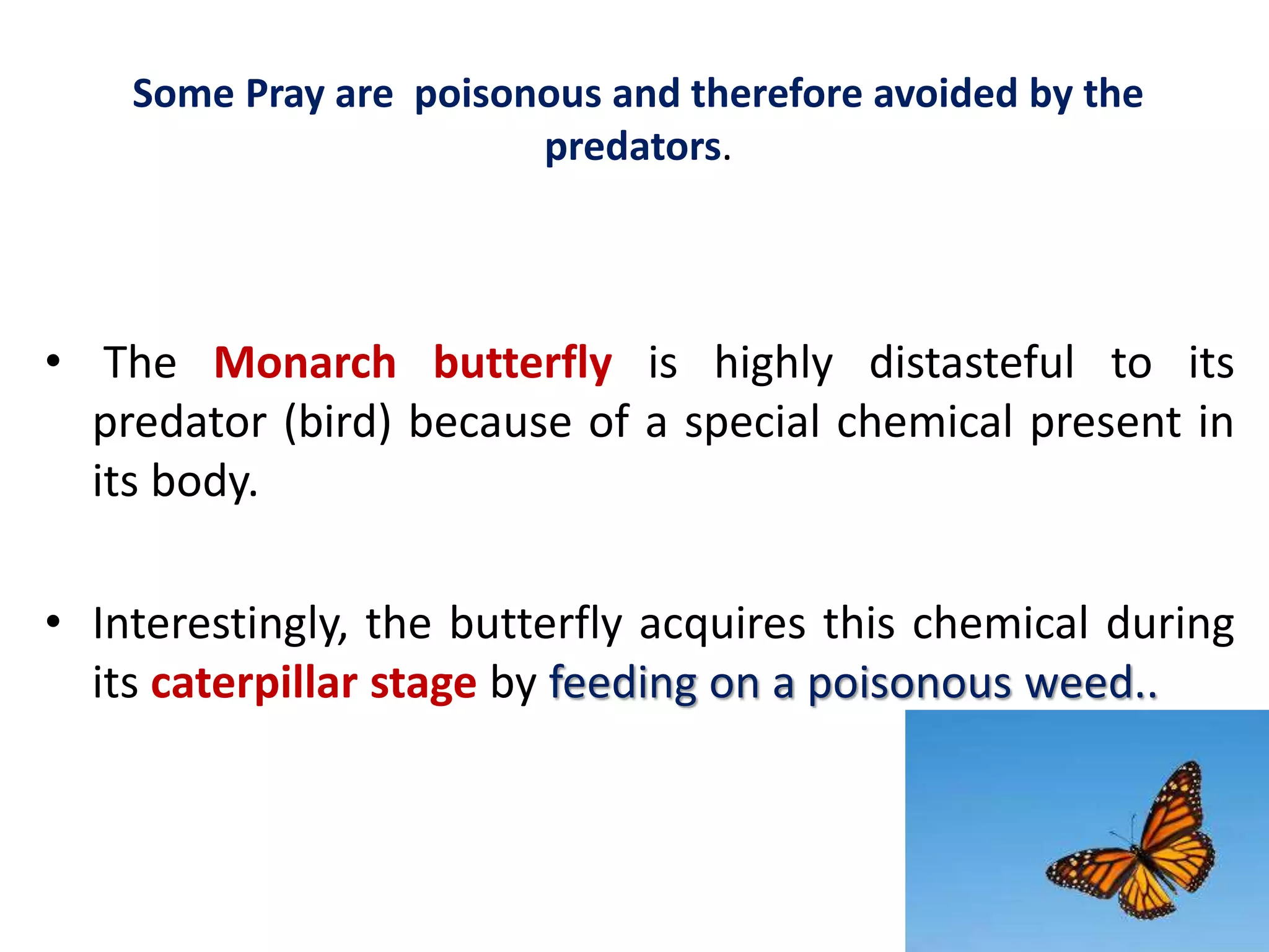 Predation and competition | PPTX