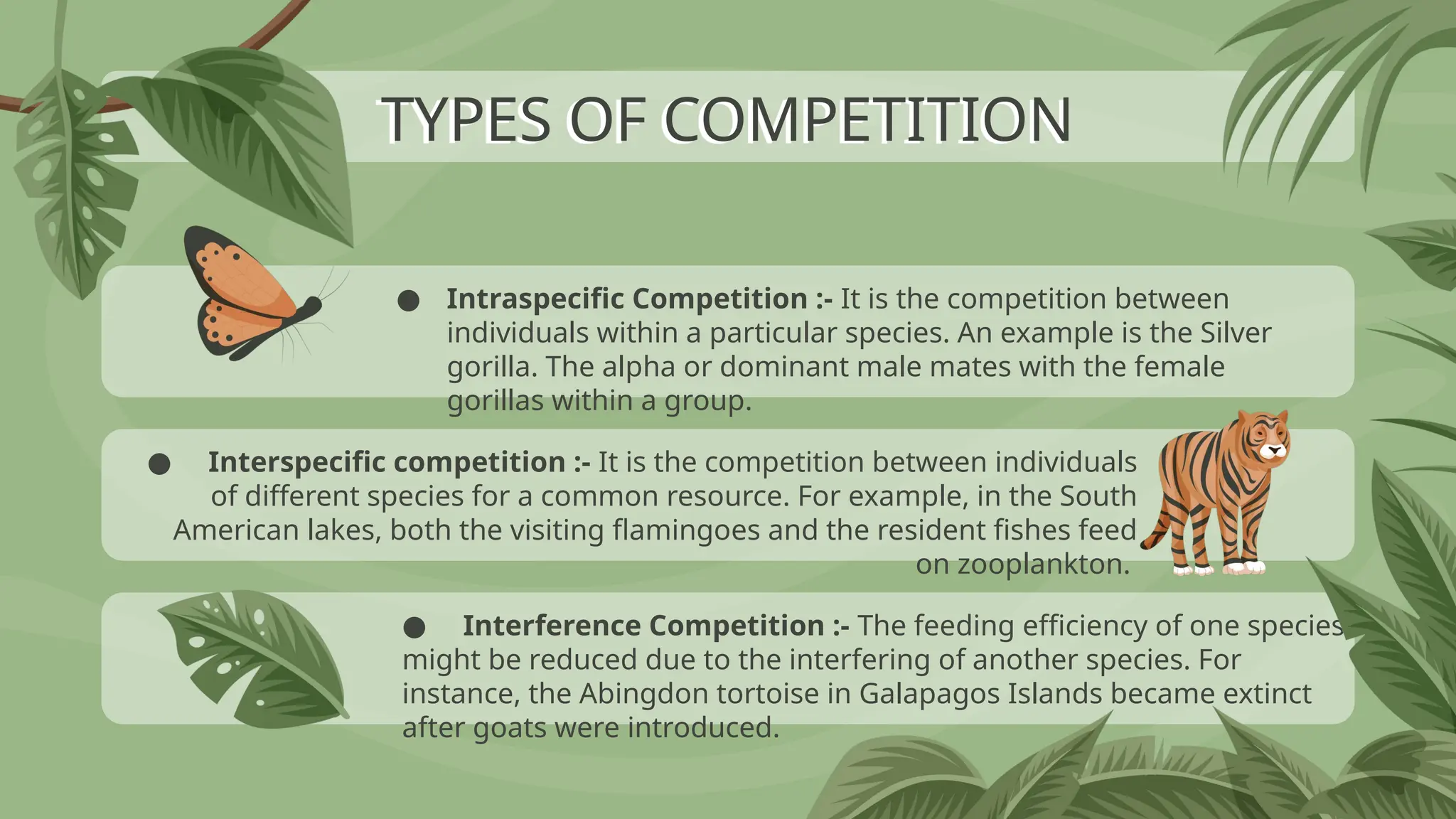Predation and Competition.pptx for 12th Biology | PPTX