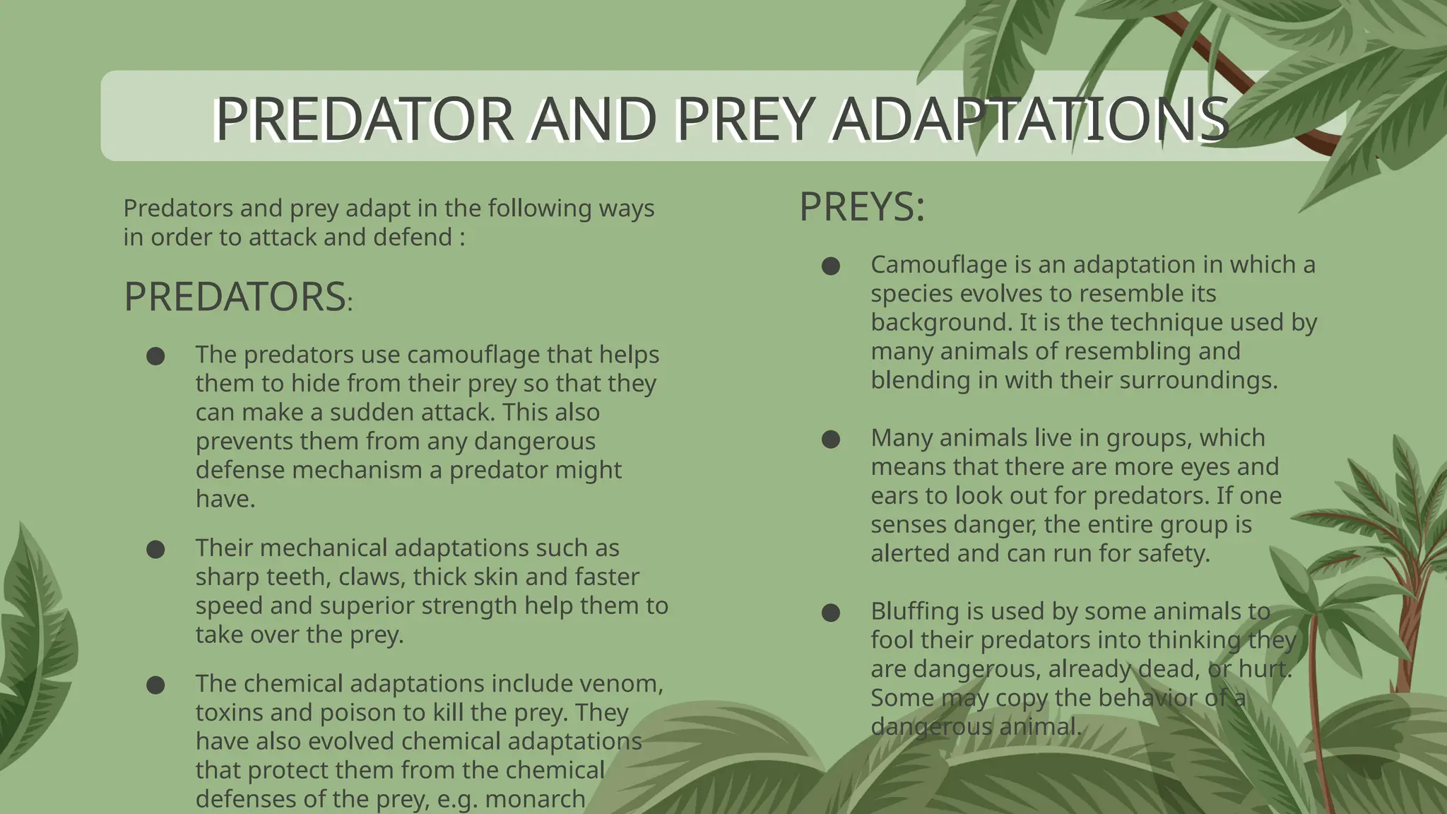 Predation and Competition.pptx for 12th Biology | PPTX