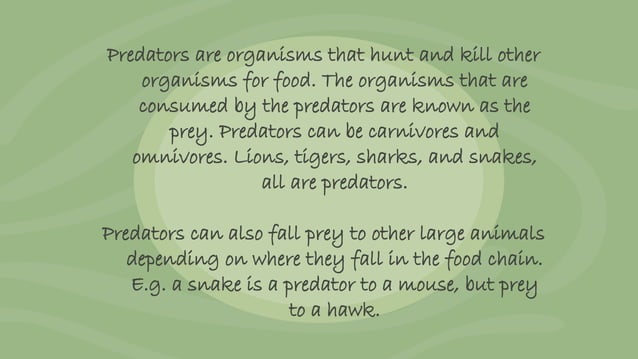 Predation and Competition.pptx for 12th Biology | PPTX
