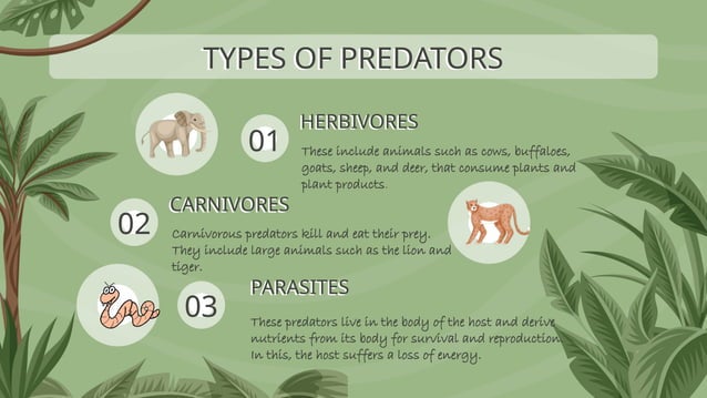 Predation and Competition.pptx for 12th Biology | PPTX