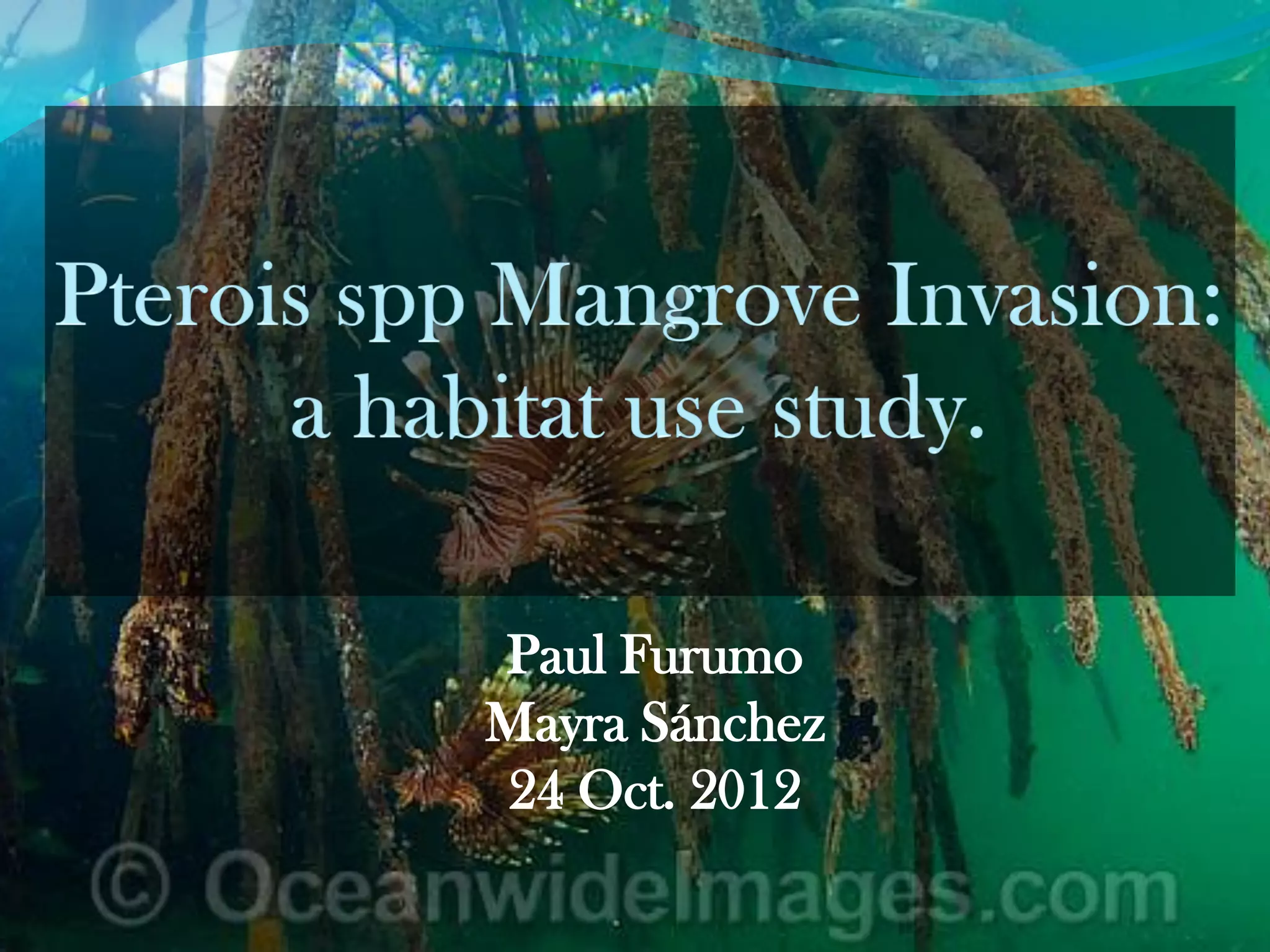 Predation, habitat use and impact of Pterois | PDF | Zoos & Aquariums ...